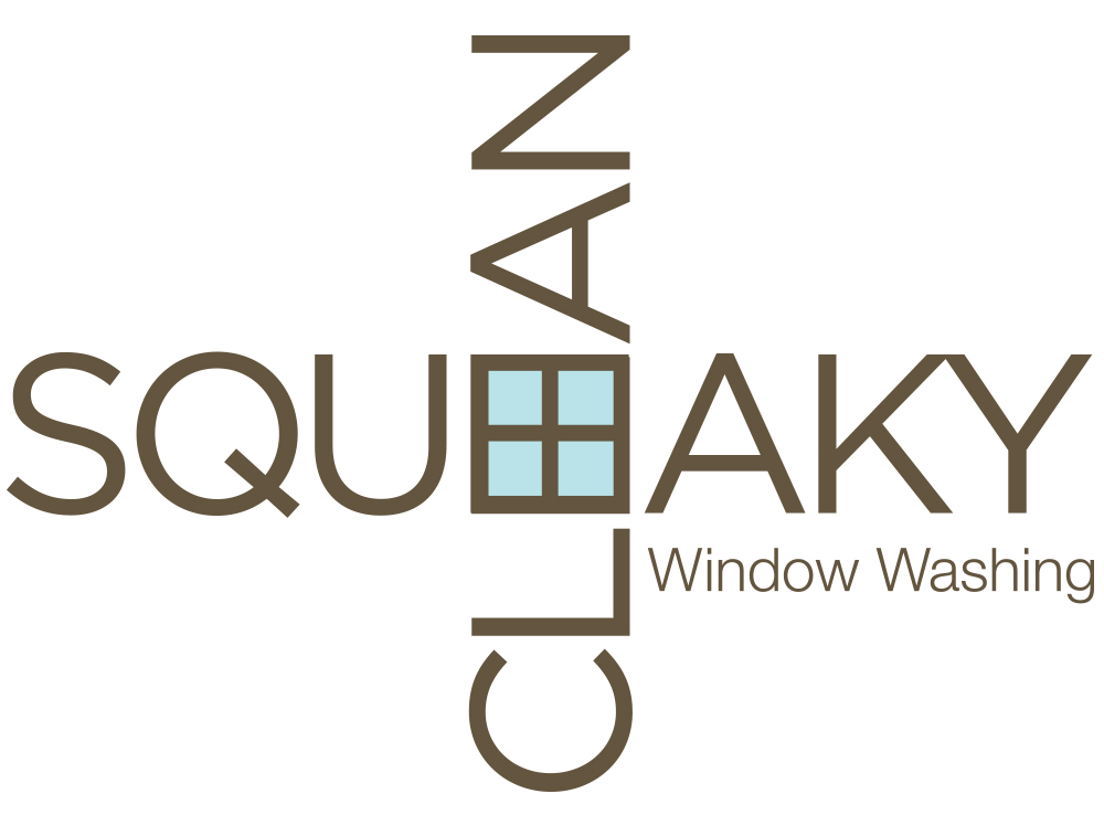 Window Screen Cleaning Services in Texas | Squeaky Clean
